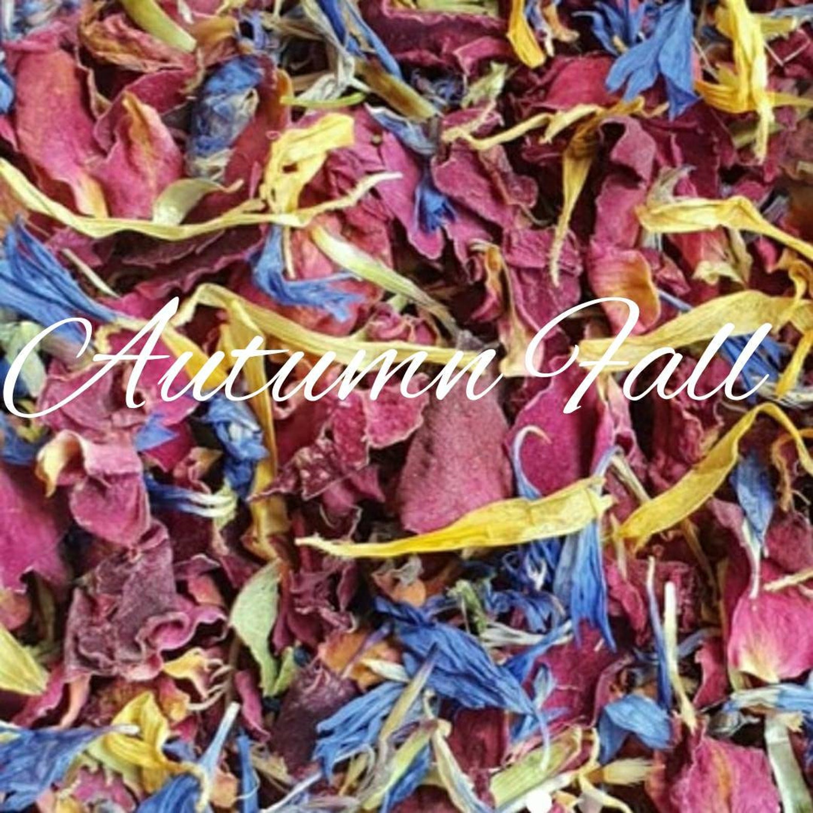 Biodegradable Confetti. Personalised Printed Pre Filled - Etsy UK