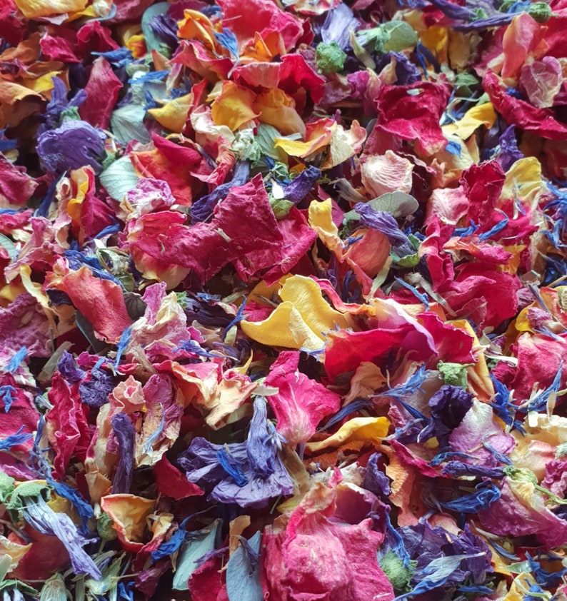 Biodegradable Confetti. 1 Pre filled Organza bag. Naturally | Etsy