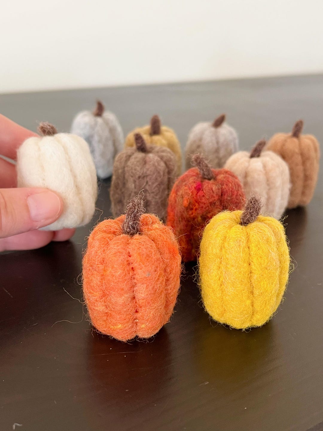 Needle Felted Wool Pumpkins: Autumn Colors, Fall Decor, Set of 10 - Etsy