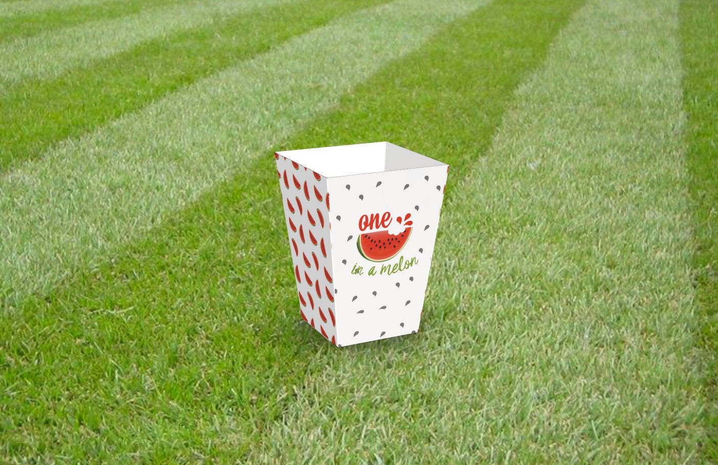 One in a Melon Party Popcorn/snack Boxes - Etsy
