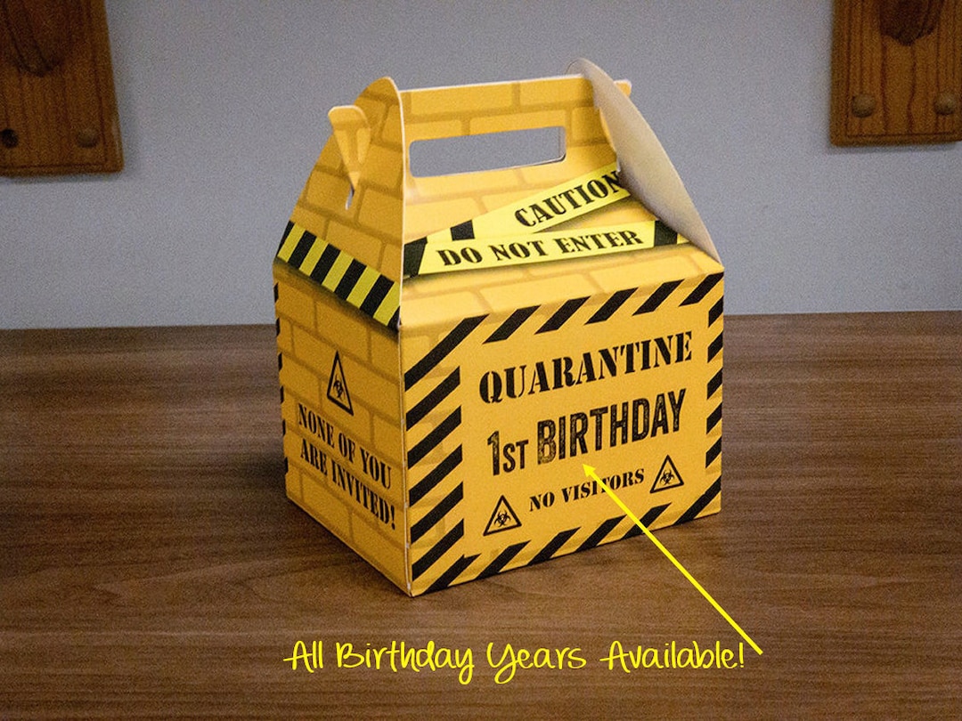 Quarantine Birthday-any Year-party Favor Boxes - Etsy