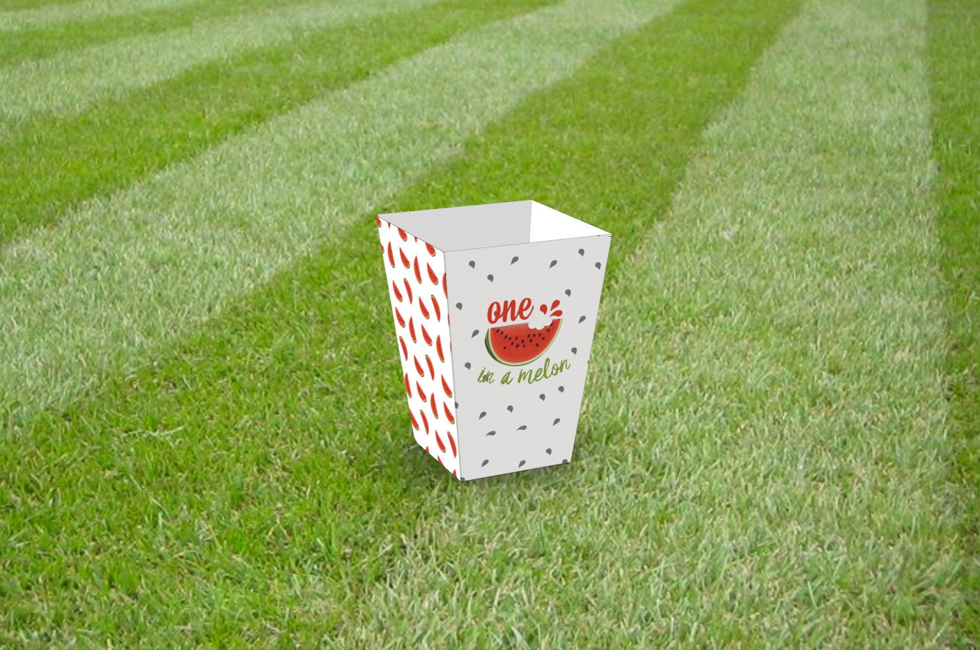 One in a Melon Party Popcorn/snack Boxes - Etsy