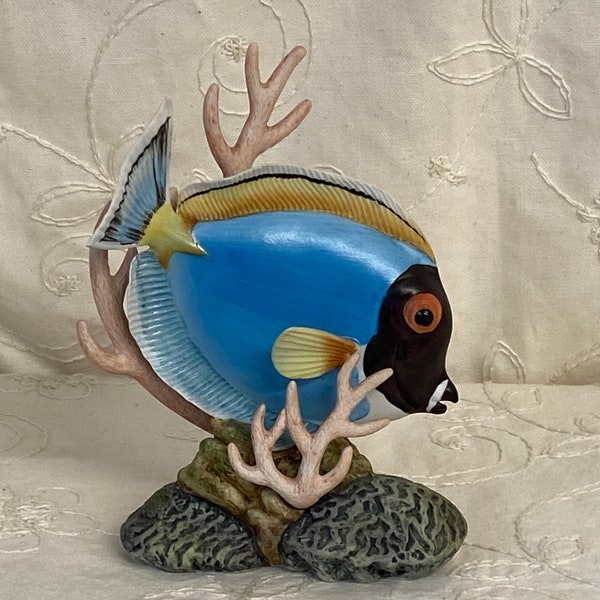 Powder Blue Tang - Etsy