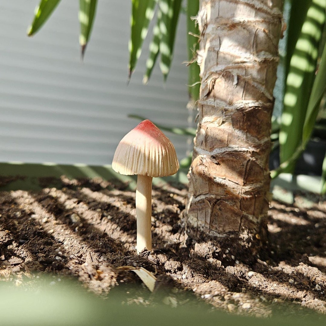 Bleeding Bonnet Ceramic Mushroom Planter Stake | Mycena Sanguinolenta ...