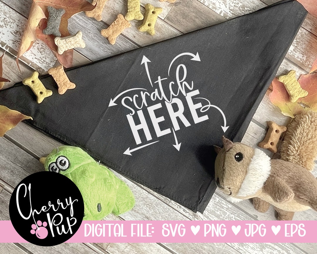 Scratch Here Dog Bandana SVG, Svg Files for Cricut, Png Files, Instant ...