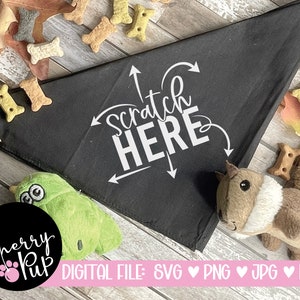 Scratch Here Dog Bandana SVG, Svg Files for Cricut, Png Files, Instant ...