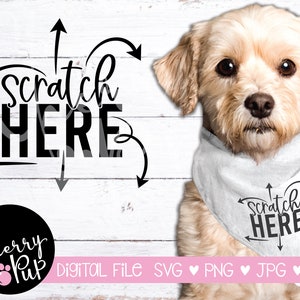 Scratch Here Dog Bandana SVG Svg Files for Cricut Png Files - Etsy