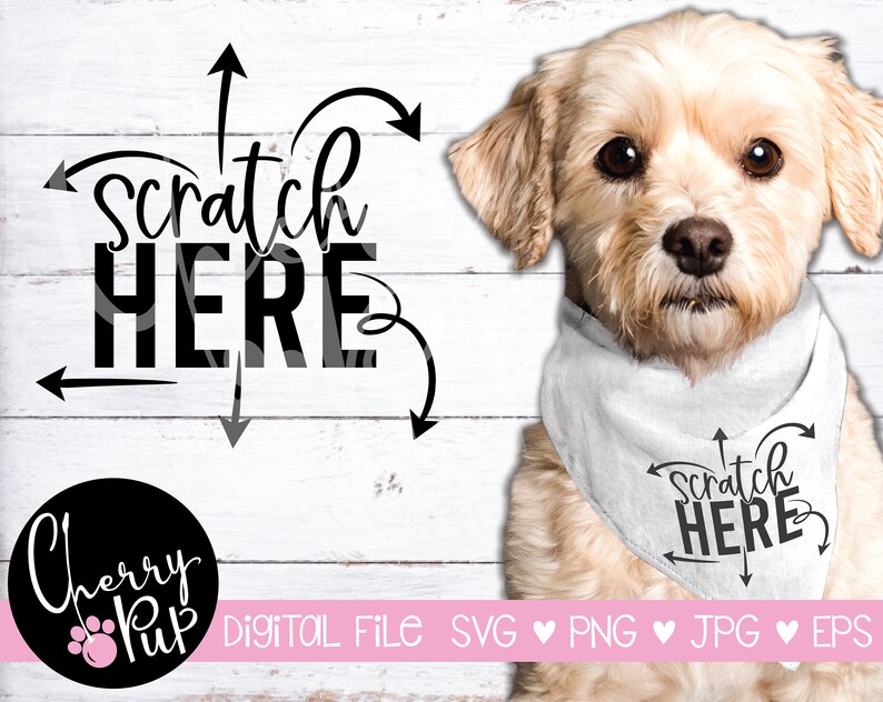 Scratch Here Dog Bandana SVG Svg Files for Cricut Png Files - Etsy