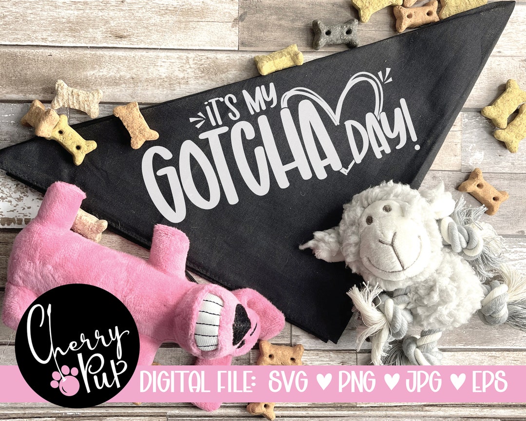 It's My Gotcha Day Dog Bandana SVG, Svg Files for Cricut, Png Files ...