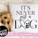 Zoomies, Cricut Svg Files, Png Files, Dog Printable, Instant Download ...