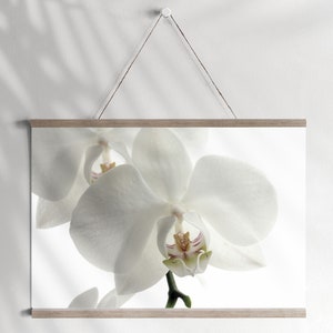 Orchid Art Print | Flower Poster| Orchid Wall Art | Botanical Printable ...