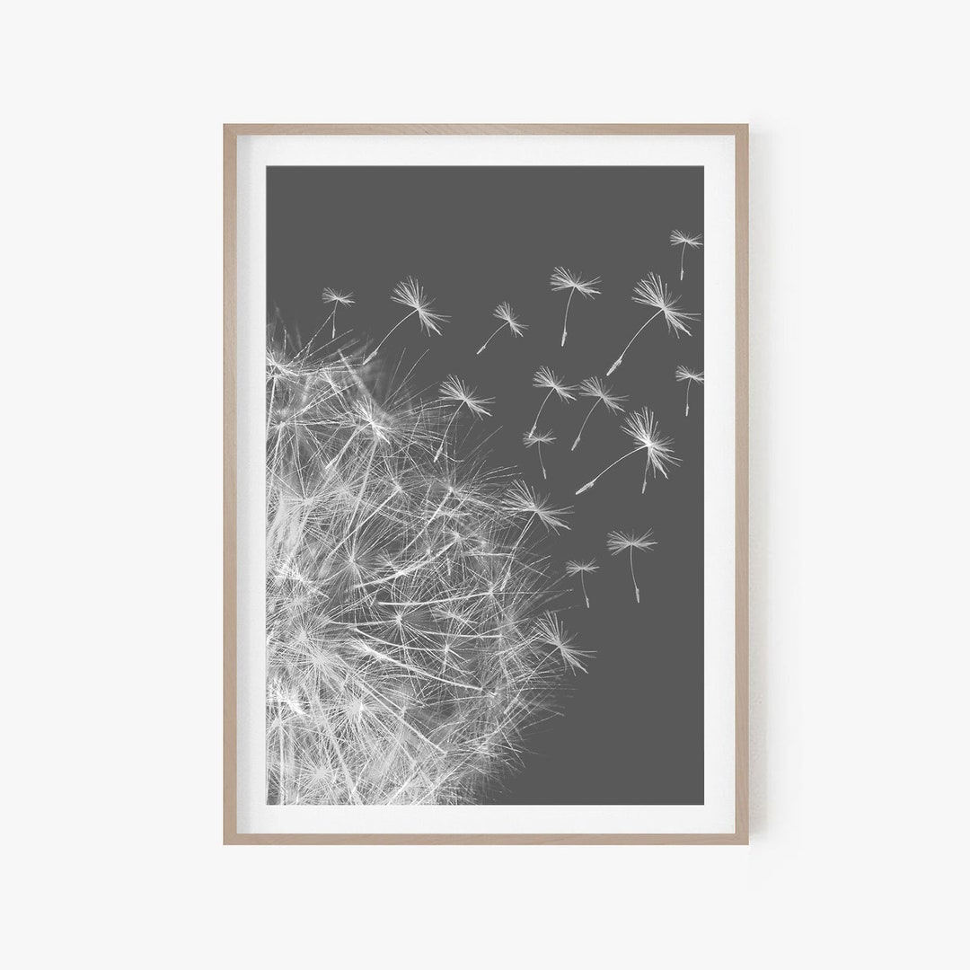 Dandelion Grey Print Botanical Wall Art Print Dandelion - Etsy