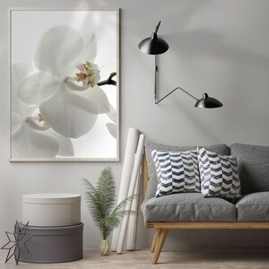 Orchid Art Print | Flower Poster| Orchid Wall Art | Botanical Printable ...