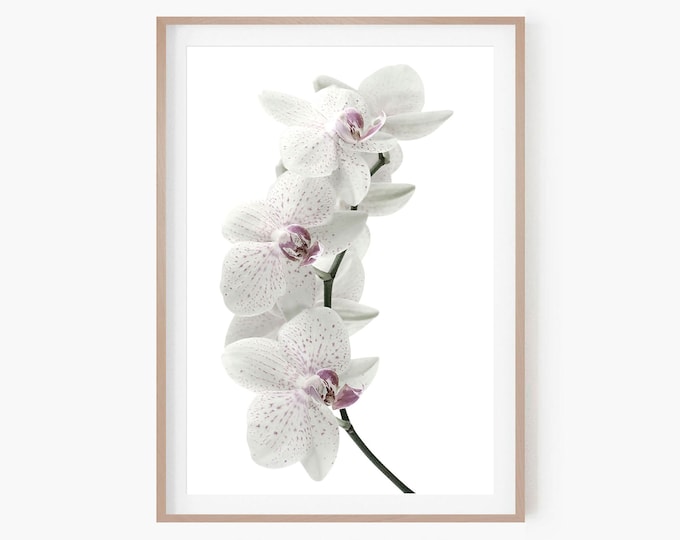 Orchid Print Set of 4 Vintage Pink Orchid Prints Gallery Wall Art Home ...