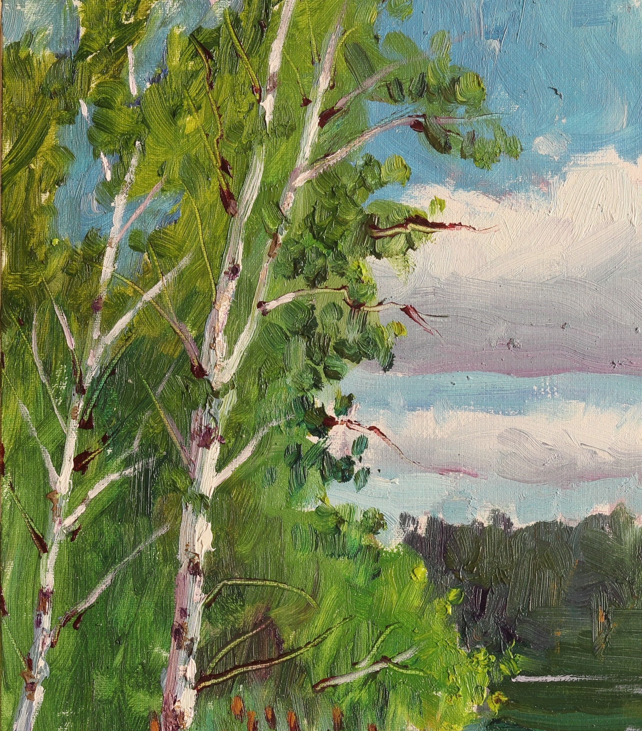 Birch Trees and Lake Oil Painting, Cloud and Lake Oil Painting, Reeds ...