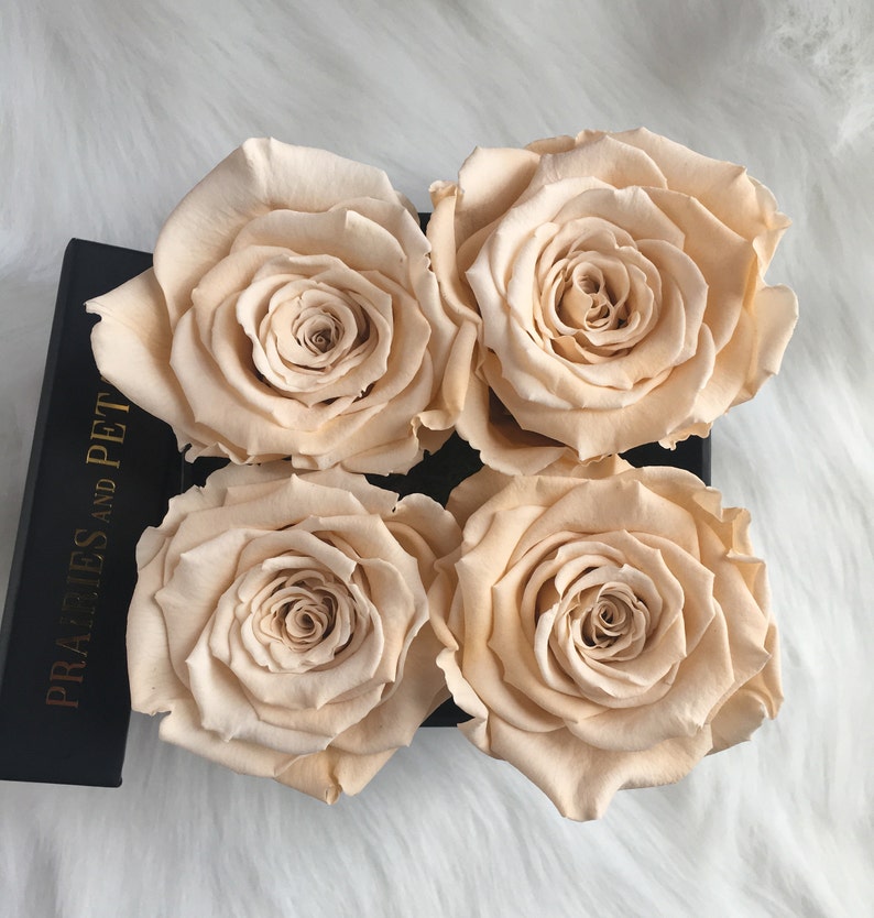 One Year Roses Gifts For Her Box of Roses Mother's Day | Etsy