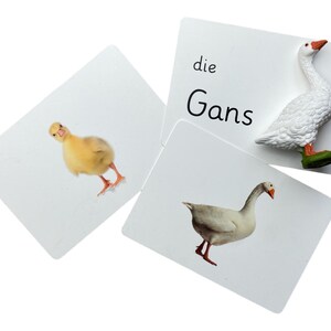 Matching Game Recognizing and Assigning Baby Animals and - Etsy