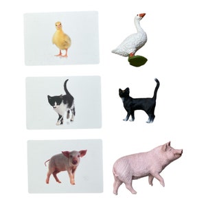 Matching Game Recognizing and Assigning Baby Animals and - Etsy