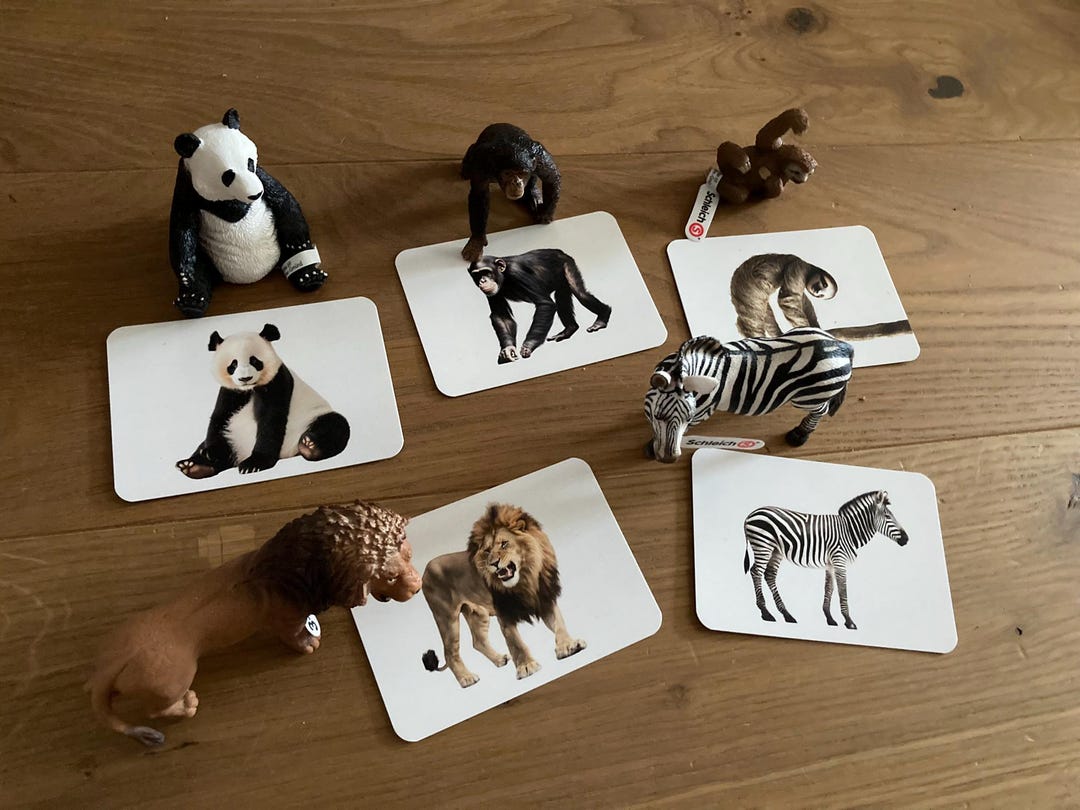 Matching Game Identify and Match Wild Animals Montessori Toy for ...