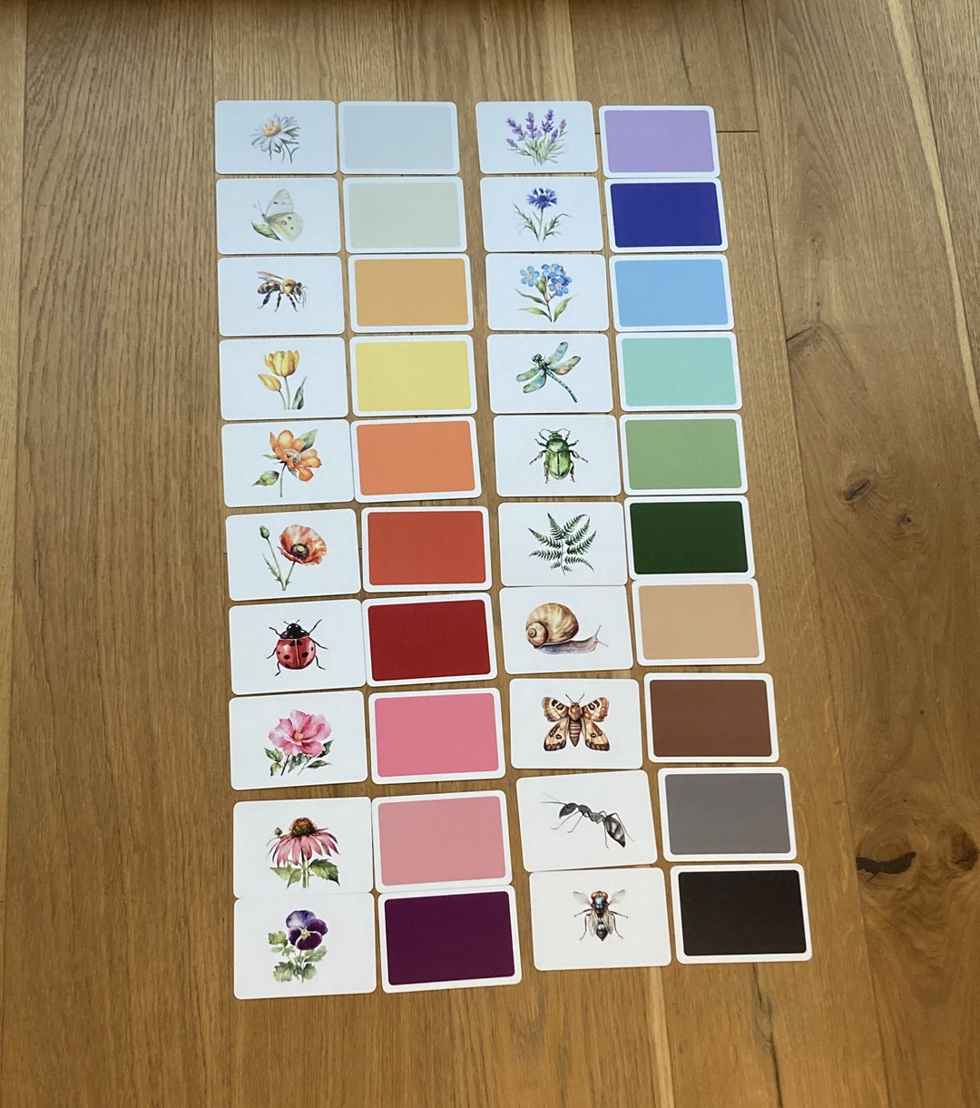 Matching Game Recognizing and Assigning Colors and Garden Inhabitants ...