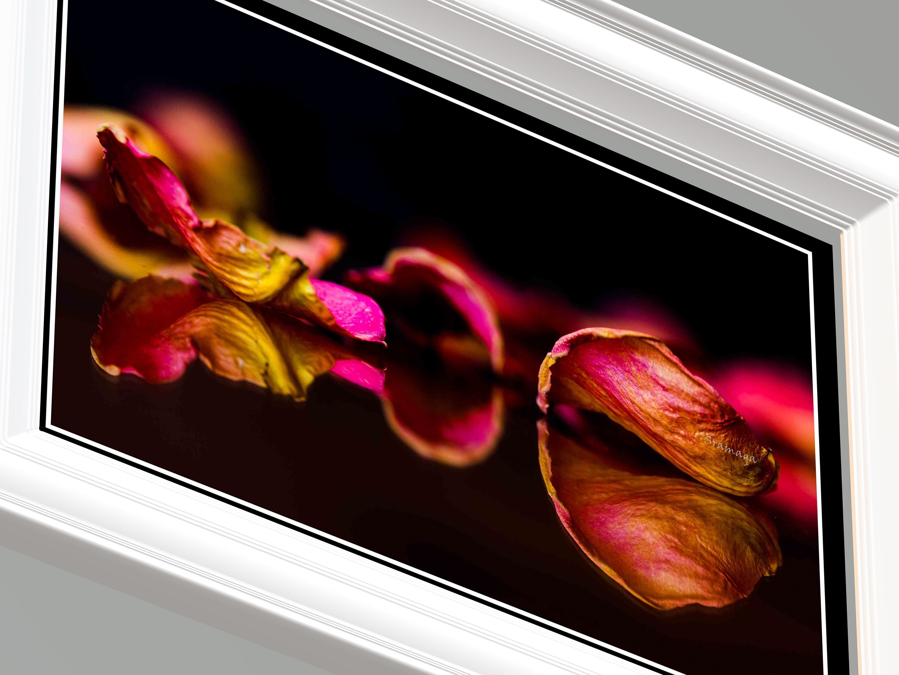 Dried Flowers Abstract Photography Romantic Gifts for Her | Etsy