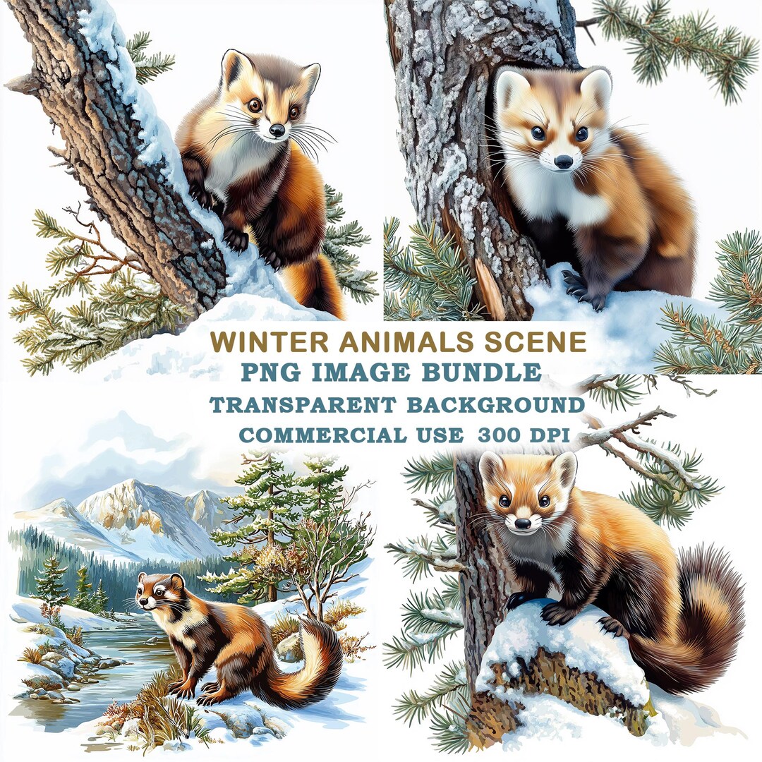 American Marten Winter Scene Clipart: High-resolution PNG Designs ...