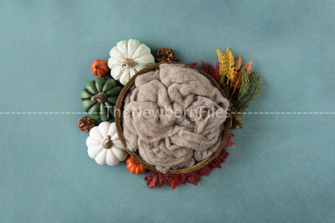 Fall Digital Backdrop Newborn Backdrop Newborn Digital - Etsy