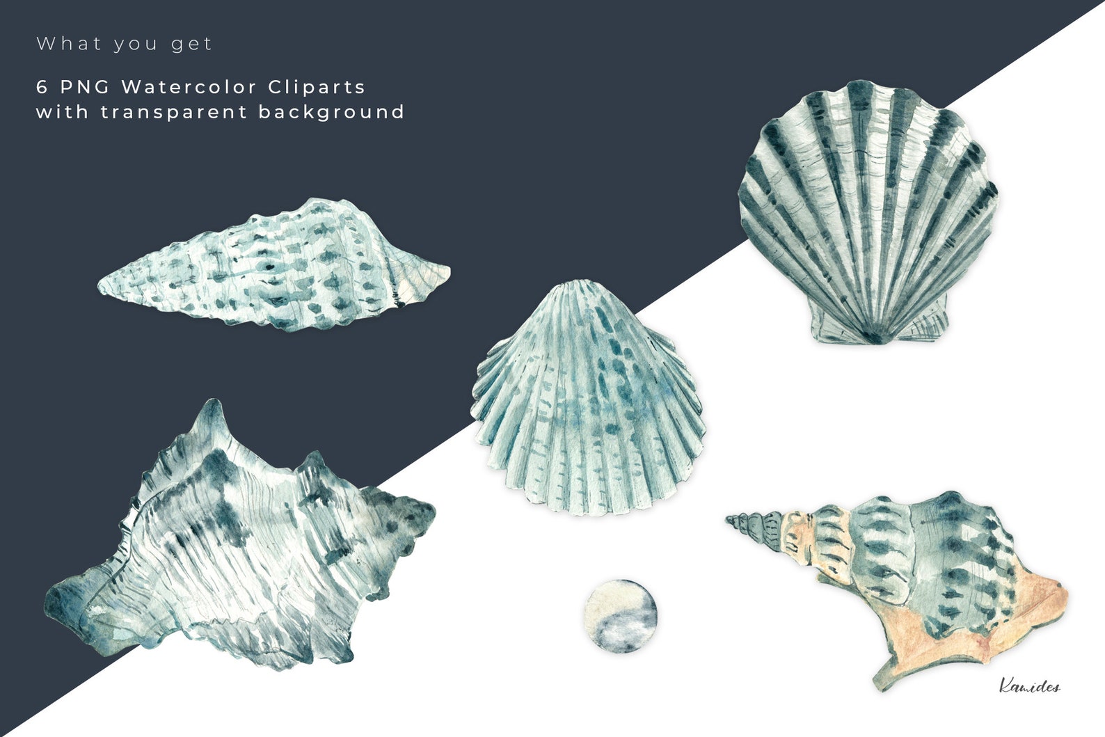 Blue Seashell Watercolor Cliparts, Shell Illustration, Coastal Feeling ...