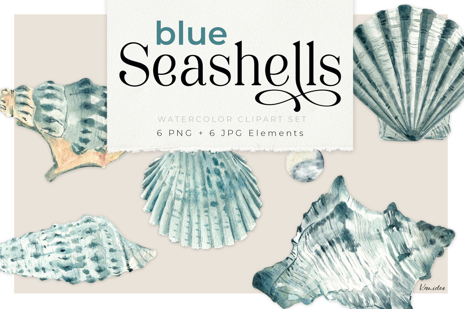 Blue Seashell Watercolor Cliparts, Shell Illustration, Coastal Feeling ...