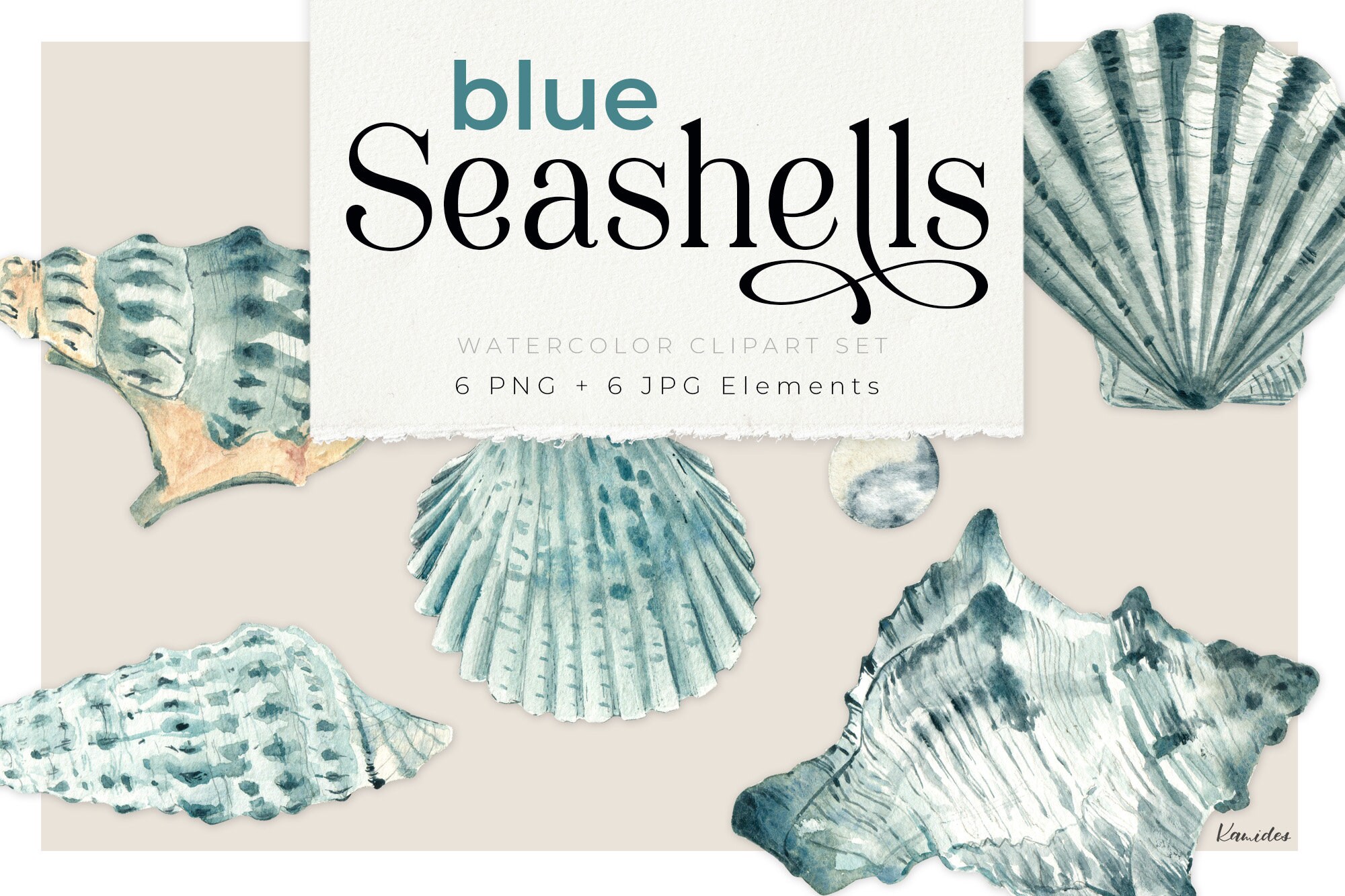 Blue Seashell watercolor cliparts, shell illustration, coastal feeling ...