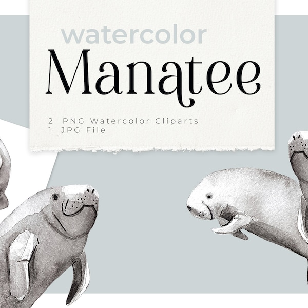 Manatee Watercolor - Etsy