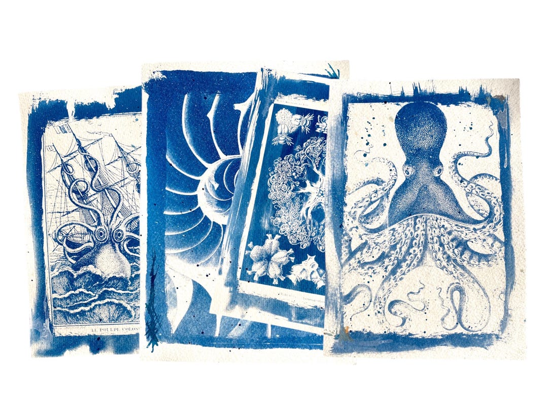 Natural and Nautical Inspired Cyanotype Photographs Art Print A5/A4 on ...