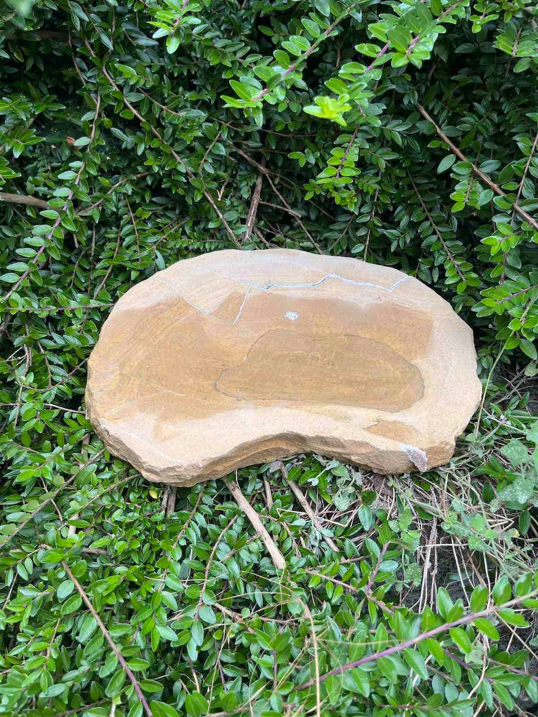 Bird Bath Bird Bath Stone Garden Decoration Insect Bath Natural Stone ...