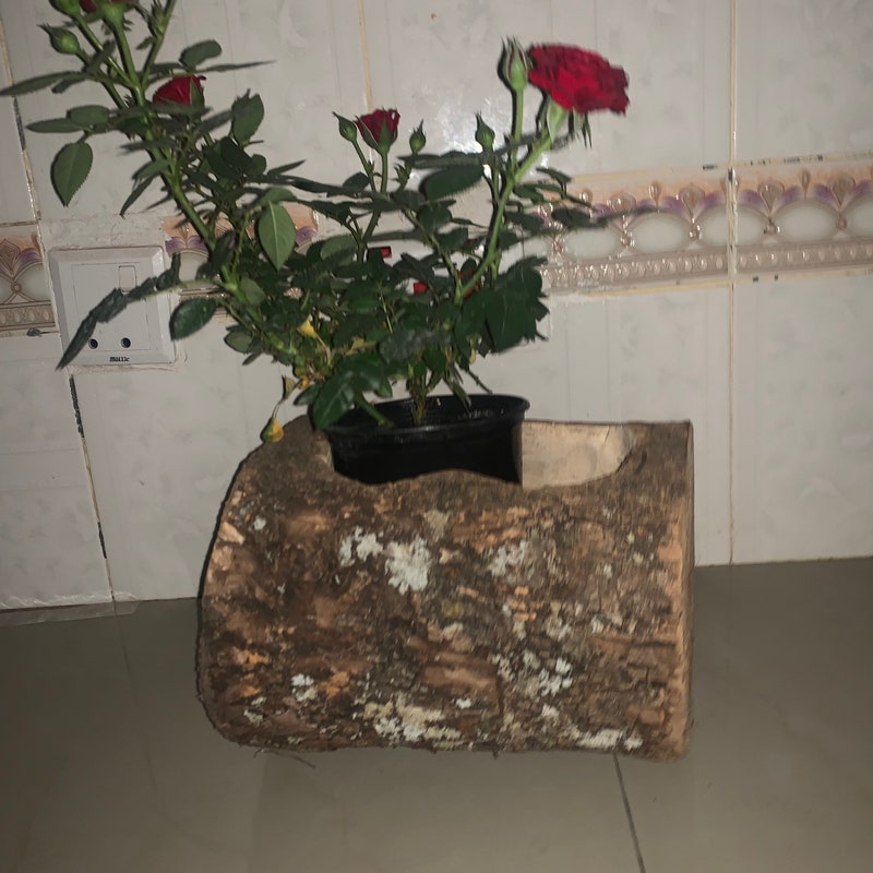 Log Vase - Etsy