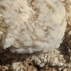 40-foot Container Roving Wool, Yarn & Fibre,organic Wool, Raw Sheep ...