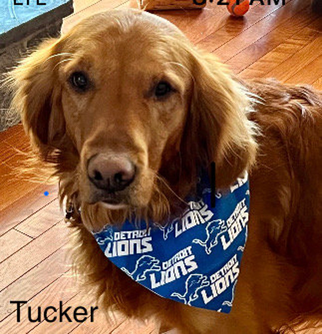NFL Detroit Lions Football Reversible Collar Bandanas - Etsy