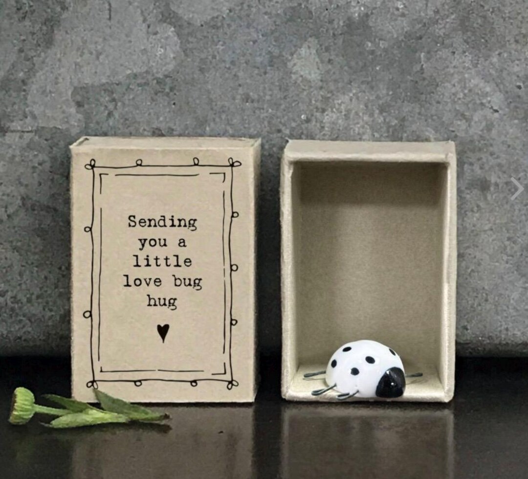 Teeny Tiny Love Bug Hug in A Matchbox / Tiny Ceramic Ladybird / Love ...