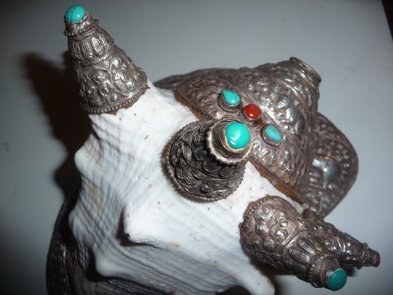 Antique conch shell Tibetan Buddhist ritualistic object | Etsy