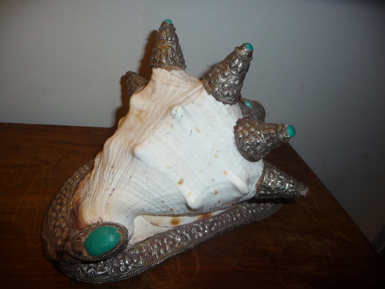 Antique Conch Shell Tibetan Buddhist Ritualistic Object | Etsy