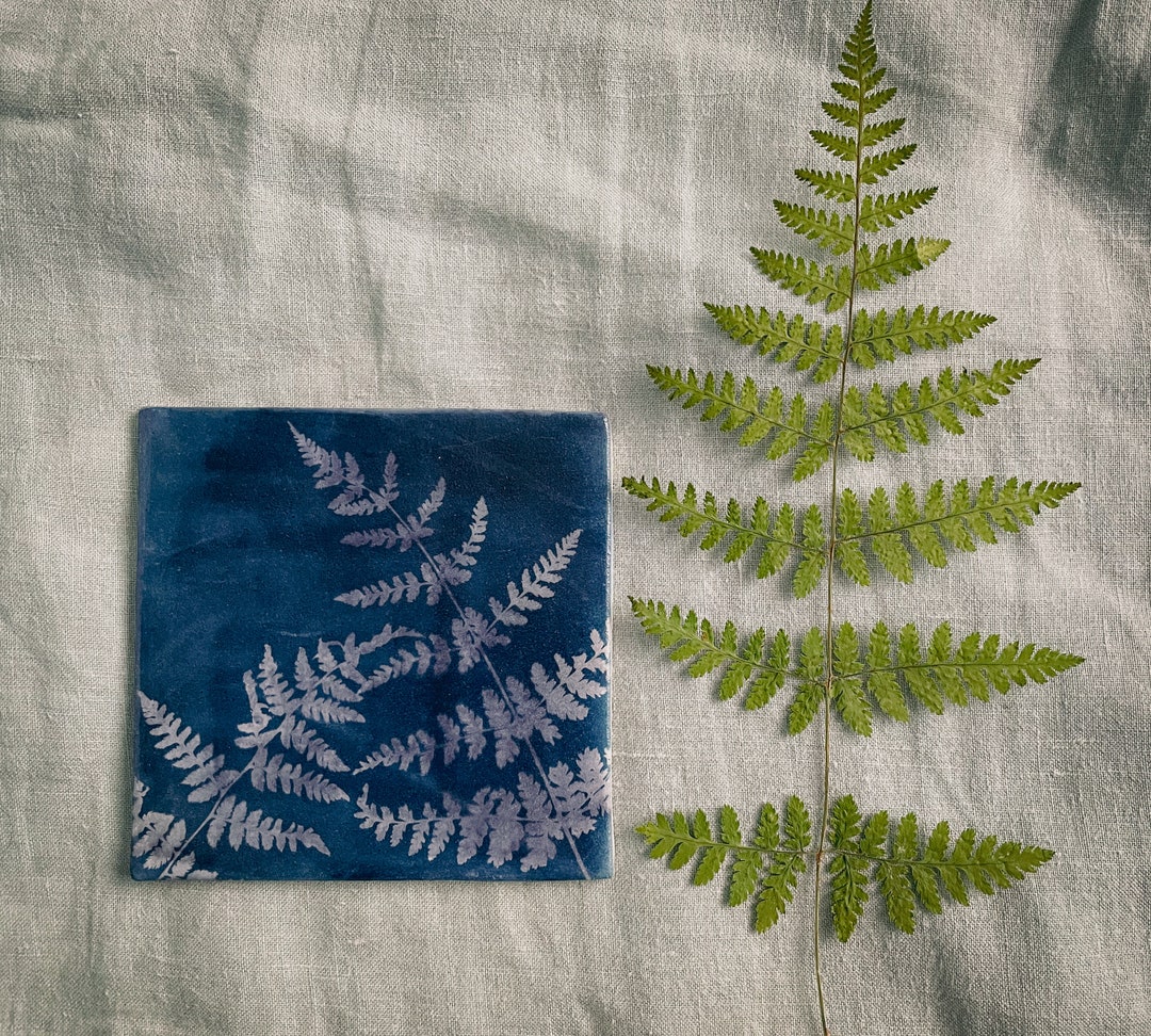 Ceramic Fern Tile, Cyanotype Decoration in the Kitchen, Gift for Botany ...