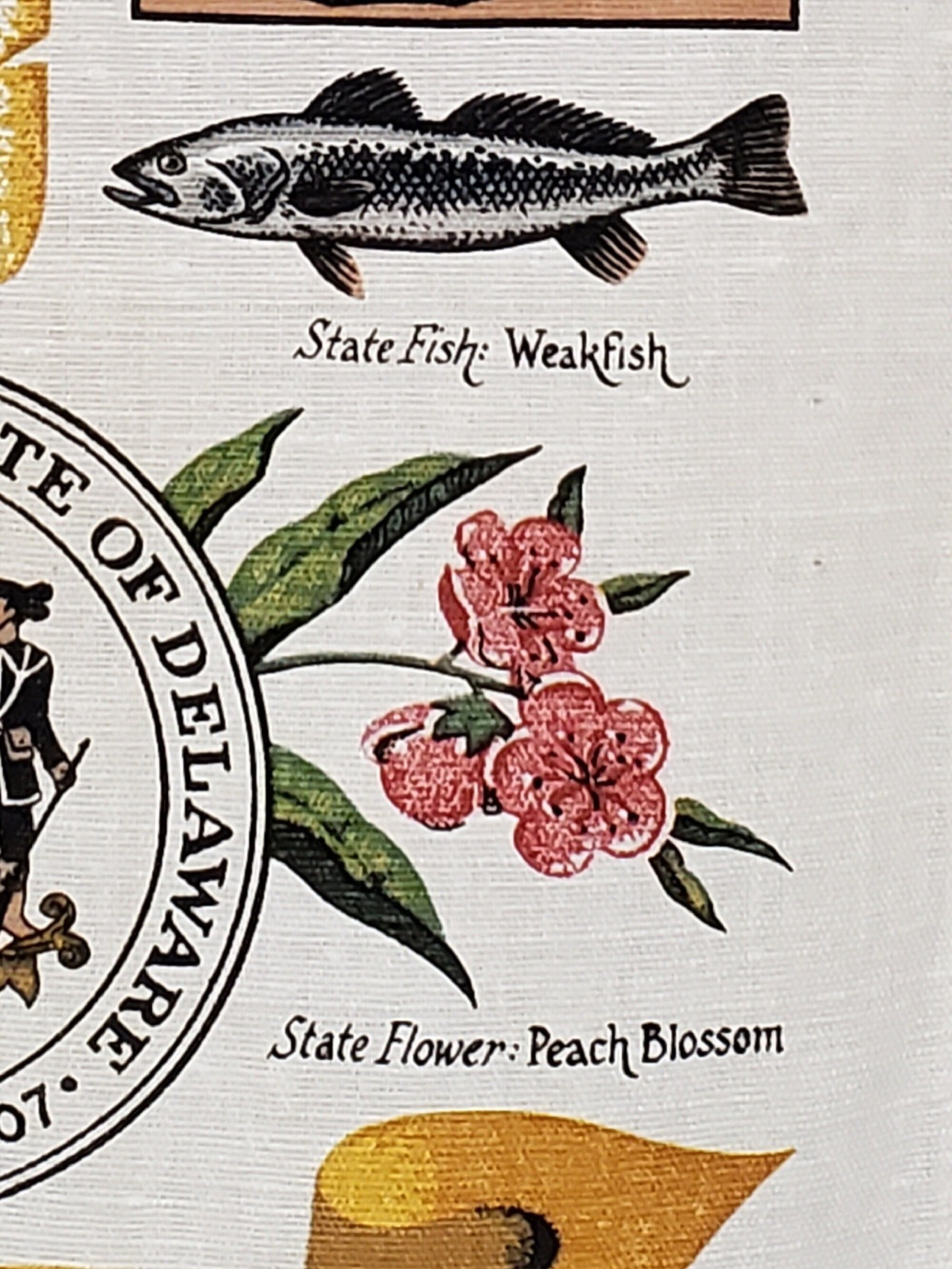 Vintage Delaware State Dish or Tea Towel, "the First State" History ...