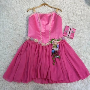 Pink Dew Drop Fairy Ballet Costume - Etsy