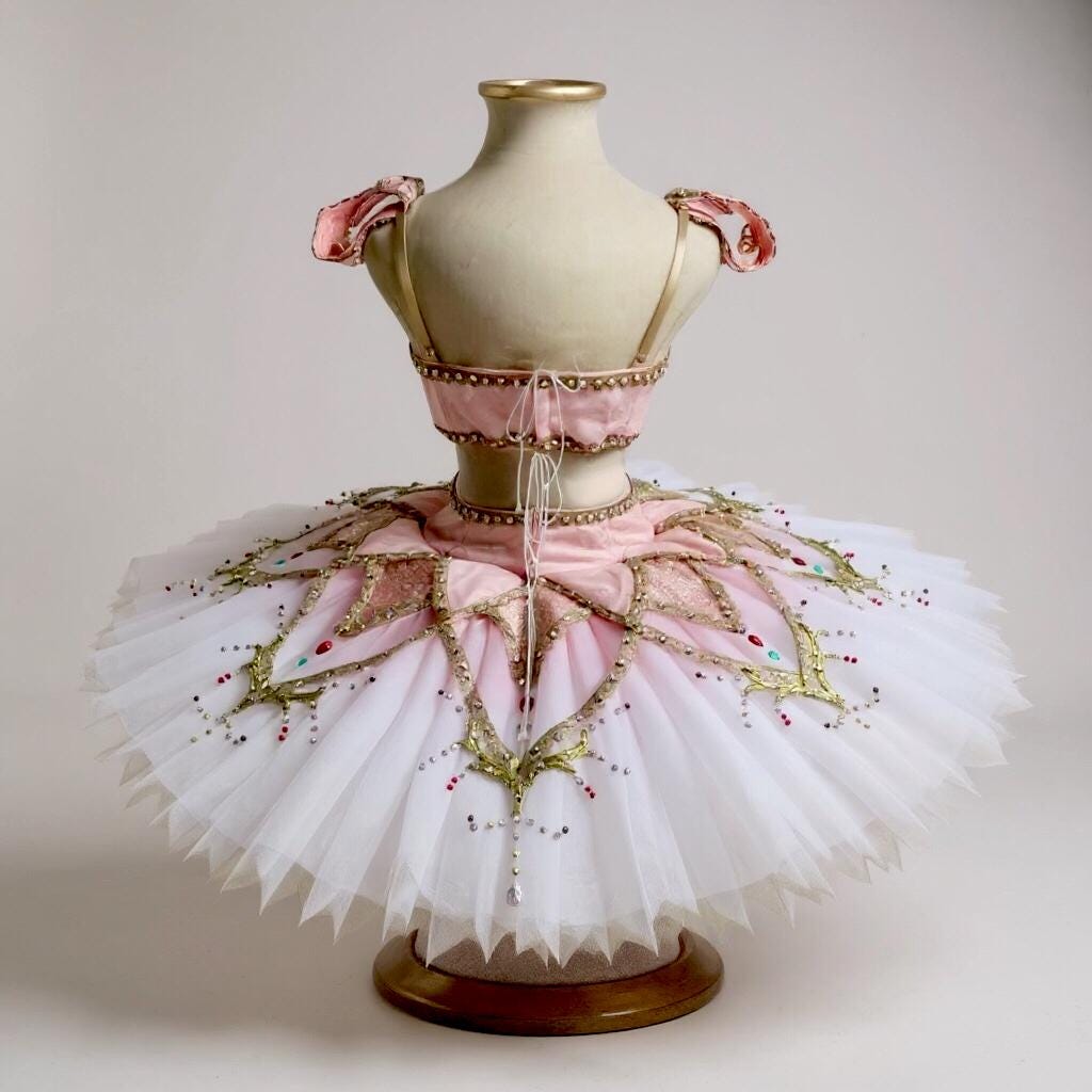 Odalisque Ballet Tutu: Two-piece Professional Pancake Tutu - Etsy