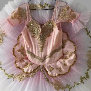 Nutcracker Ballet Tutu, a Pancake Tutu in Pink and Gold. A Beautiful ...