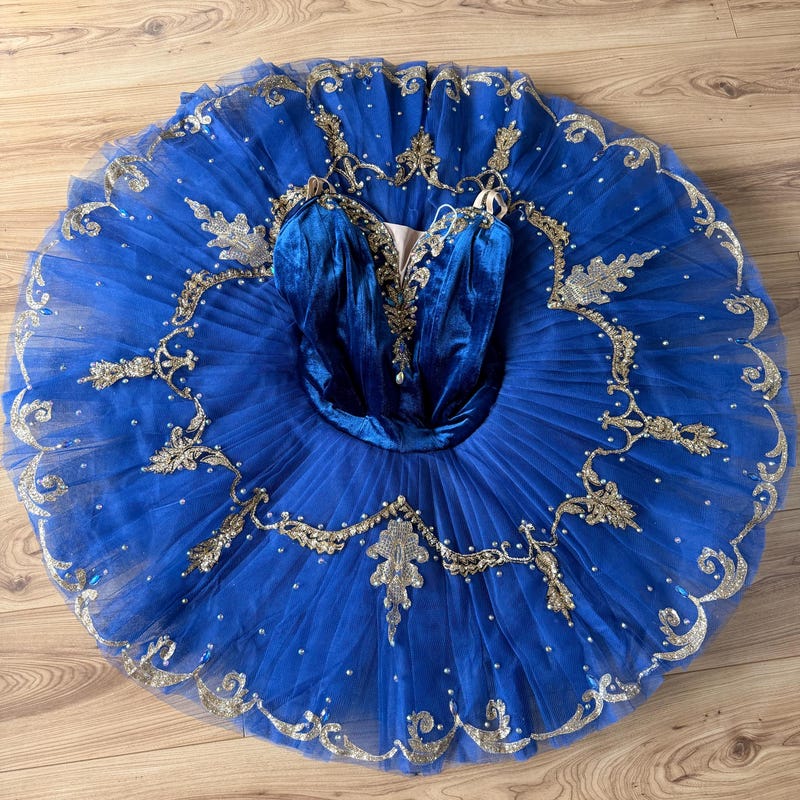 Blue Platter Tutu Costume - Etsy