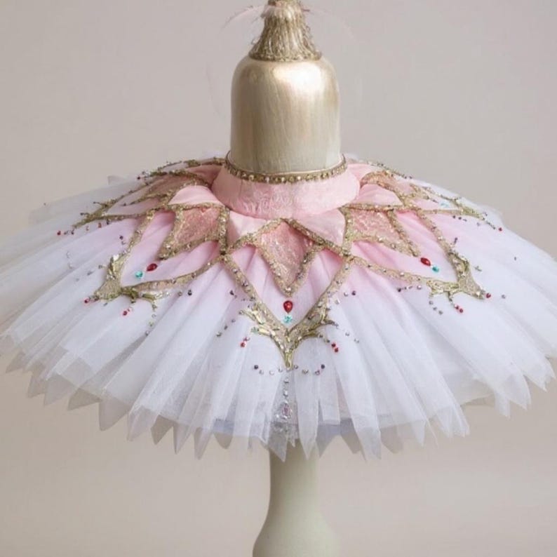 Odalisque Ballet Tutu: Two-piece Professional Pancake Tutu - Etsy