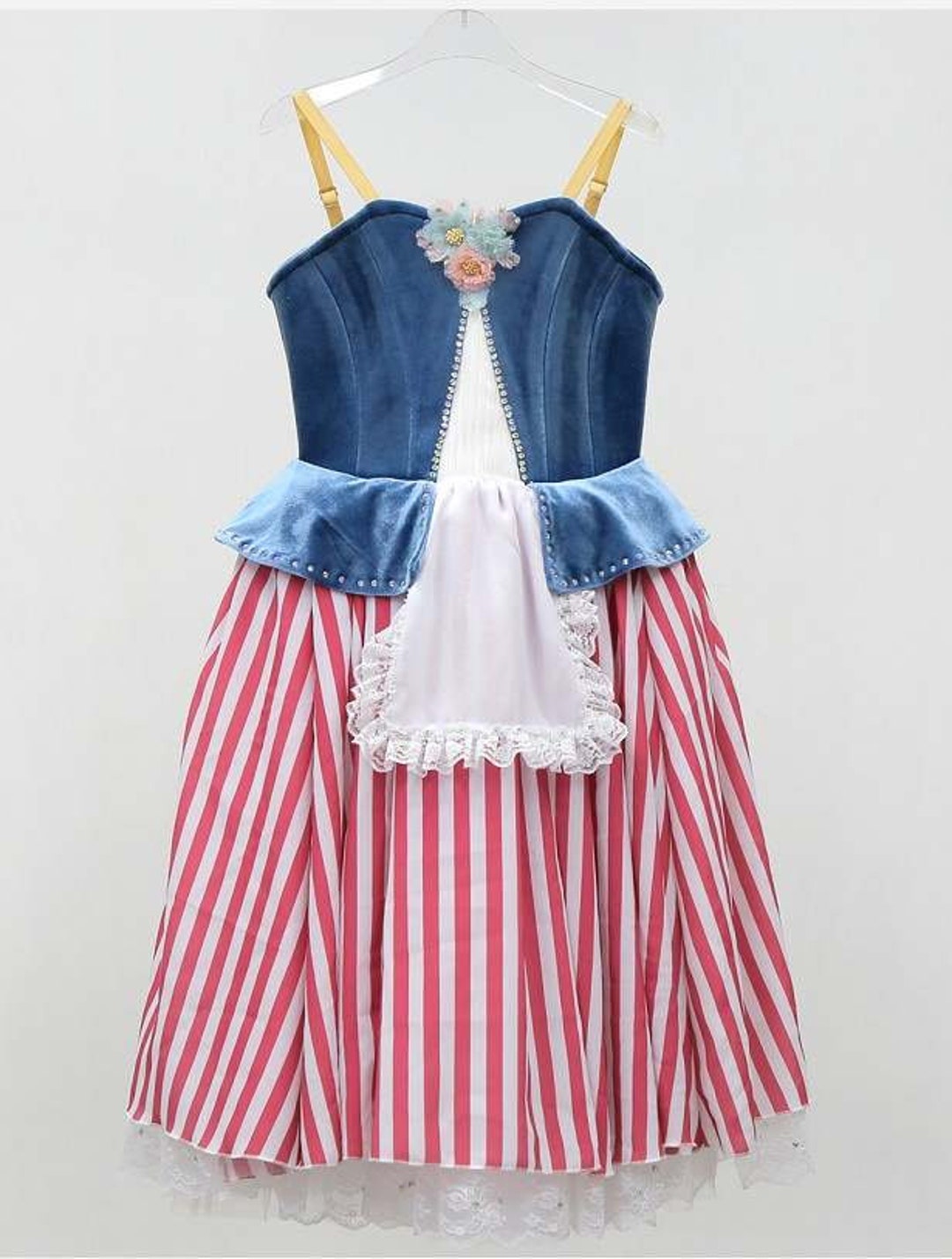 Sound of Music Ballet Tutu,shepards Ballet Tutu, Professional Ballet ...