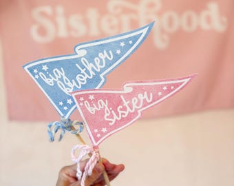 Big Brother/big Sister Pennant Flag | Sibling Pennant Flag | Big ...