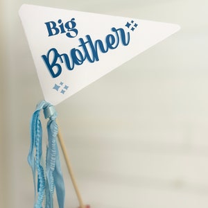 Big Brother/big Sister Pennant Flag | Sibling Pennant Flag | Big ...