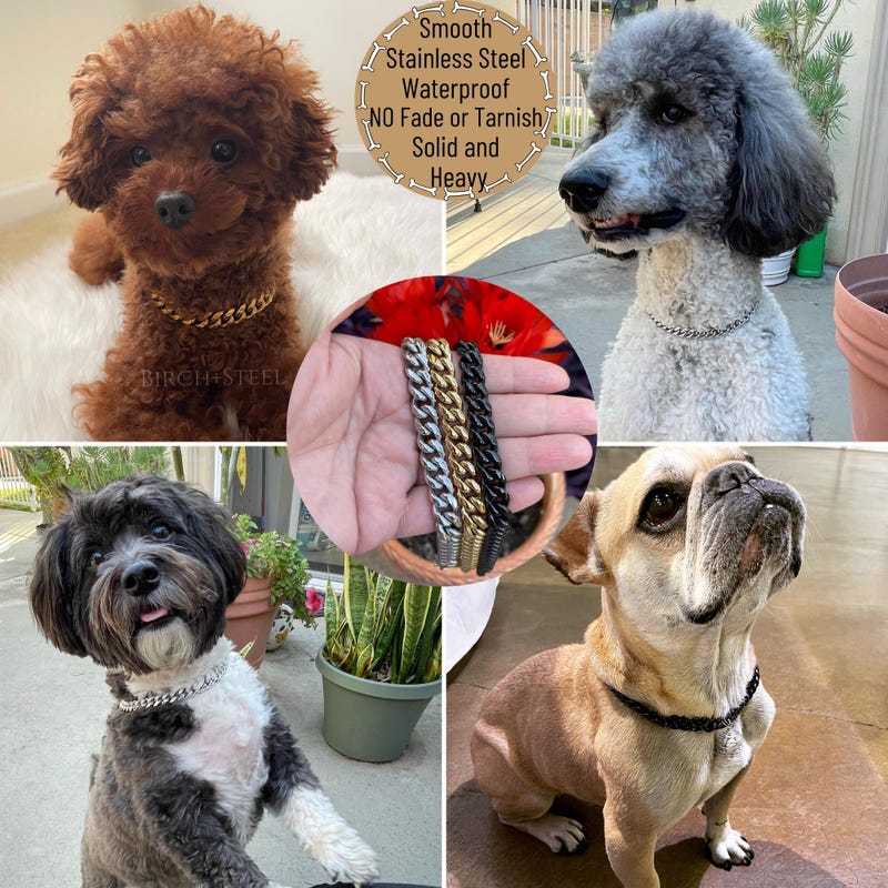 Dog Chain - Etsy